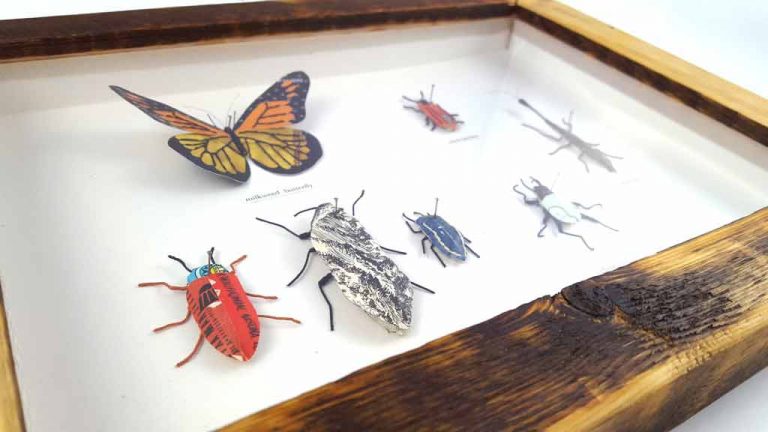 Artista cria diversidade de insetos usando papel reciclado - A.B.E.L.H.A.